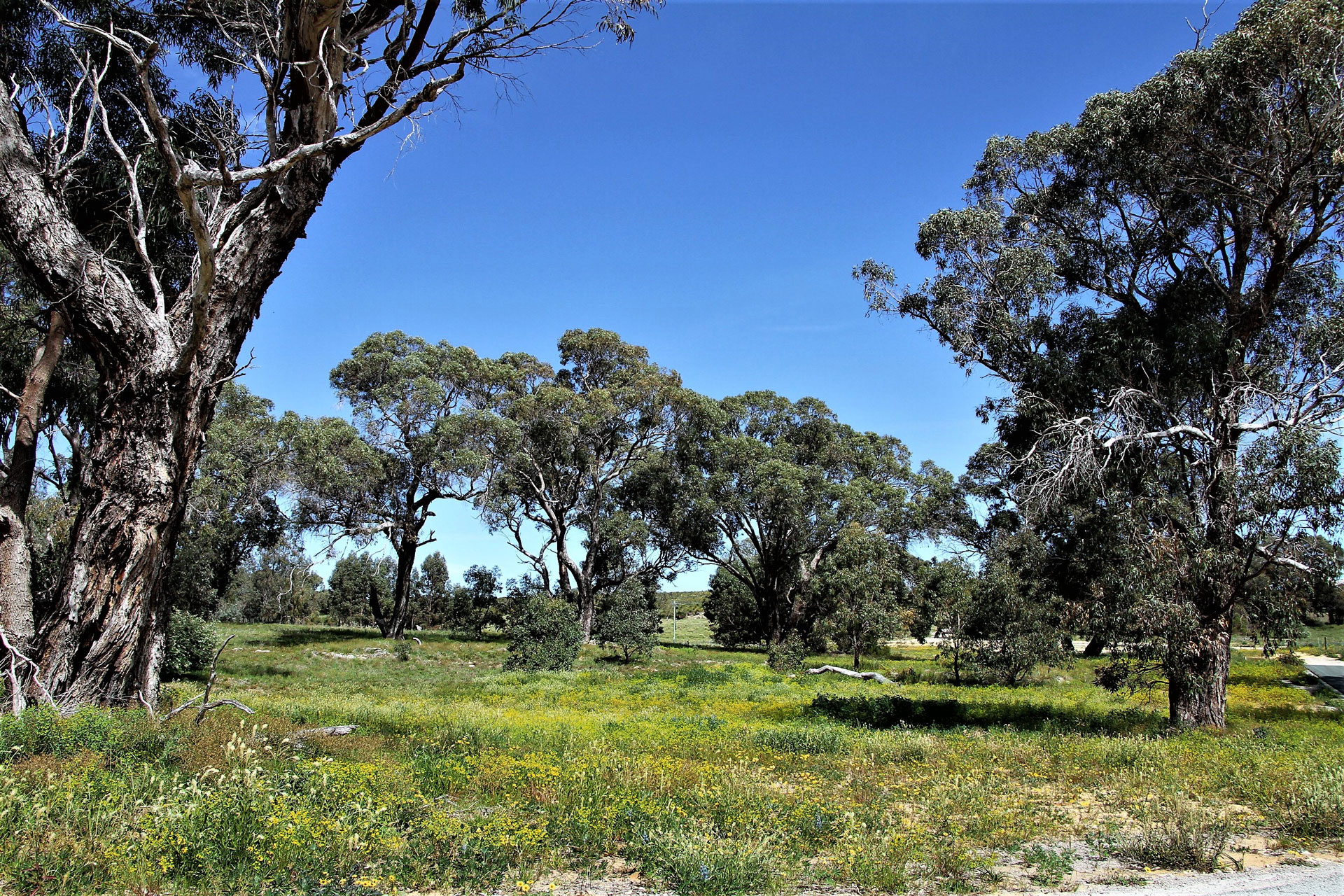 Two Rocks - New Gen Homes